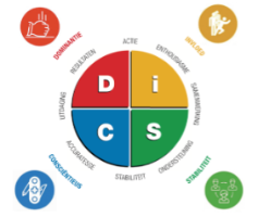 Benieuwd naar jouw DiSC kleur? Of de dynamiek in jullie team? | Inez TC